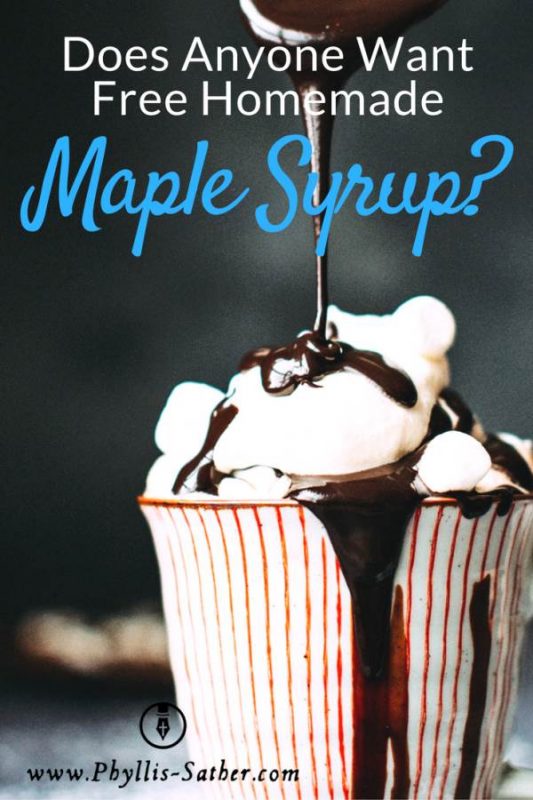 Does Anyone Want Free Homemade Maple Syrup? - phyllis-sather.com